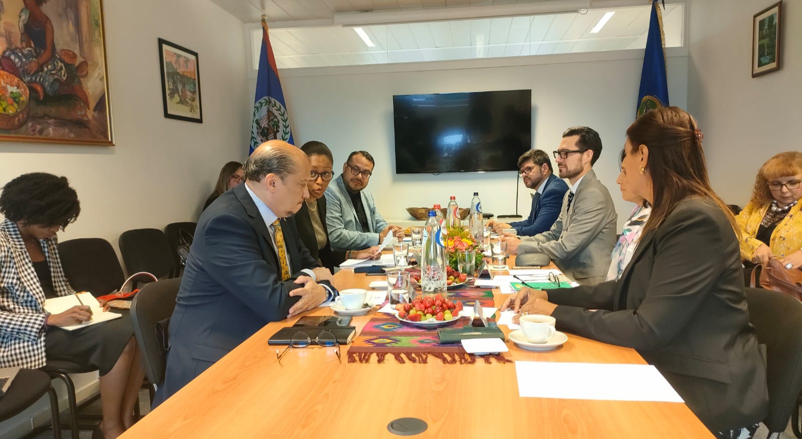Thanks to SICA Group of Ambassadors - Embassy of Belize, Brussels